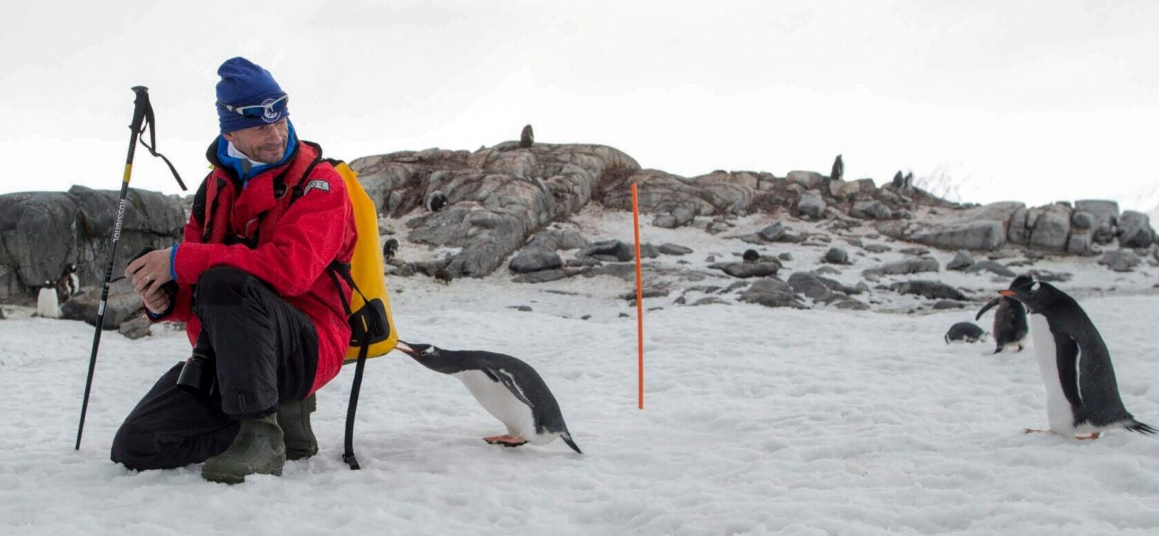 - Editorial Portfolio - Jane Mundy